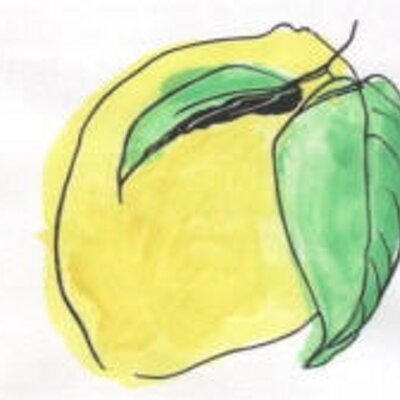 LemonAid Fund – EWB-USA, NC State Student Chapter